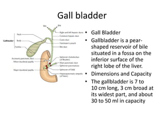 liver and gall bladder.ppsx