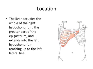 liver and gall bladder.ppsx