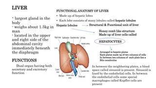 LIVER AND GALL BLADDER.pptx DIGESTIVE SYSTEM | PPTX