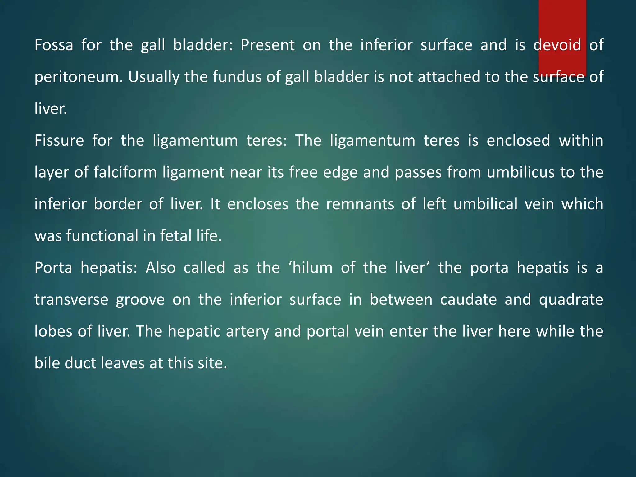 ANATOMY AND PHYSIOLOGY OF LIVER AND GALL BLADDER | PPTX