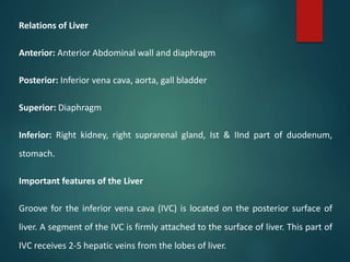 ANATOMY AND PHYSIOLOGY OF LIVER AND GALL BLADDER | PPTX