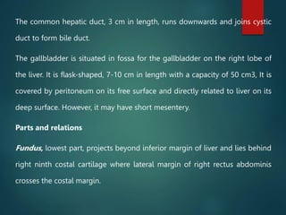 ANATOMY AND PHYSIOLOGY OF LIVER AND GALL BLADDER | PPTX