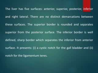 ANATOMY AND PHYSIOLOGY OF LIVER AND GALL BLADDER | PPTX