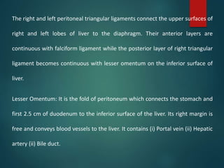 ANATOMY AND PHYSIOLOGY OF LIVER AND GALL BLADDER | PPTX