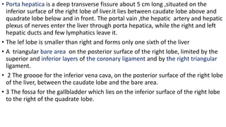 liver and pancreas.pptx