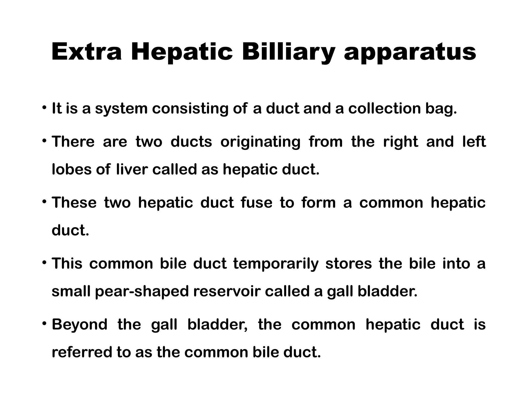 Digestive Powerhouses: Liver, Gallbladder, and Pancreas for Nursing ...