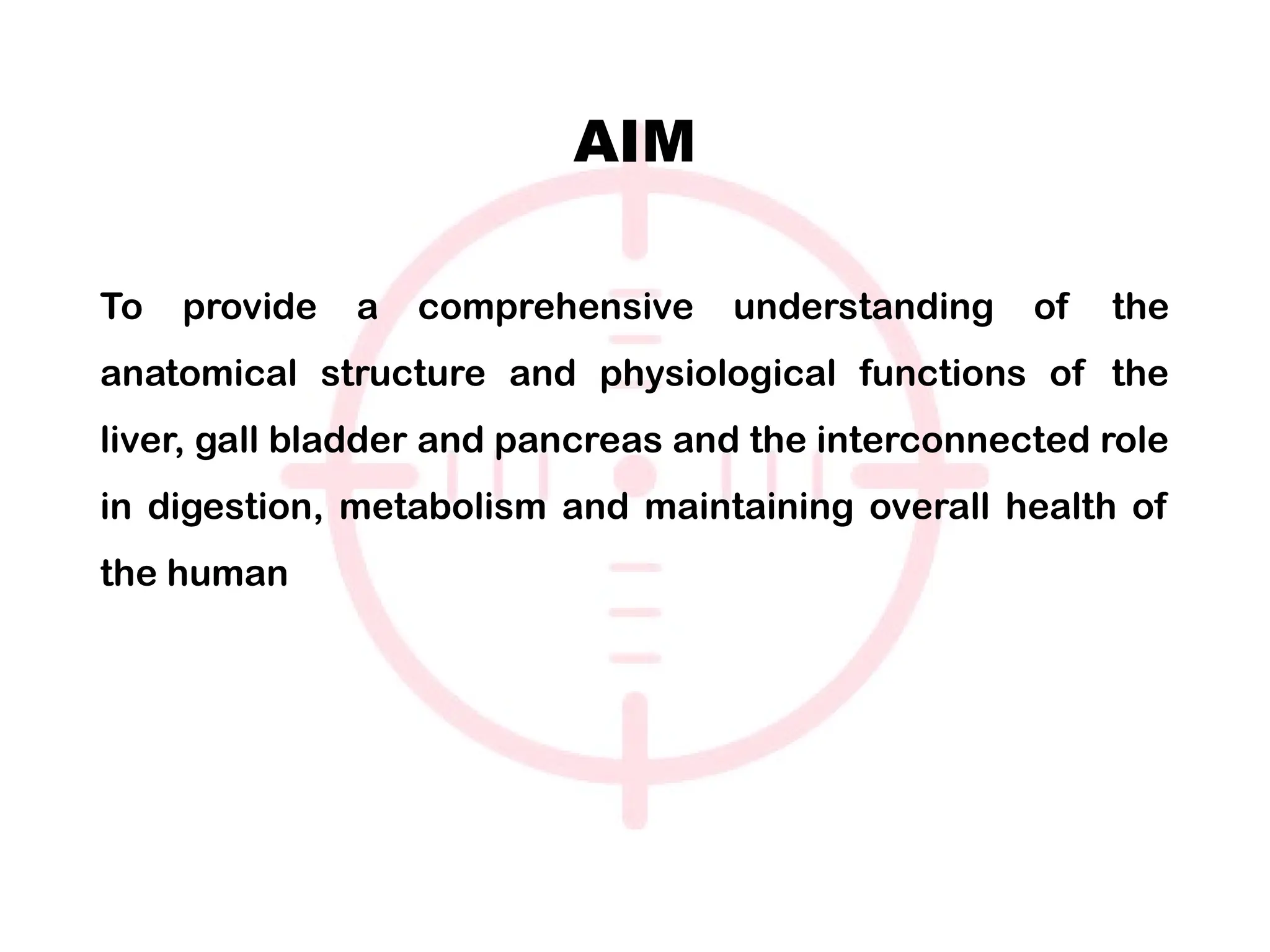 Digestive Powerhouses: Liver, Gallbladder, and Pancreas for Nursing ...