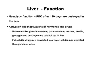 Digestive Powerhouses: Liver, Gallbladder, and Pancreas for Nursing ...