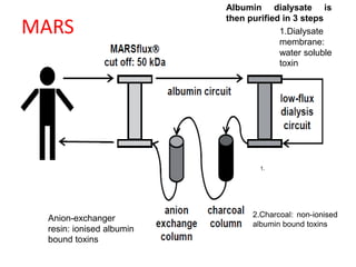 liver assist devices.pptx