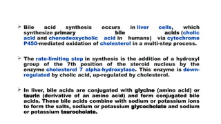 FUNCTION OF LIVER, BILE & GALLBLADDER.pptx
