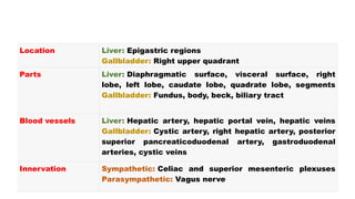 FUNCTION OF LIVER, BILE & GALLBLADDER.pptx
