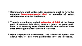 FUNCTION OF LIVER, BILE & GALLBLADDER.pptx
