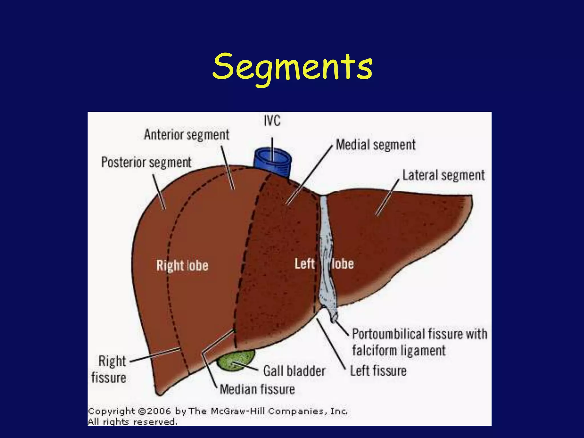 Liver& biliary | PPT