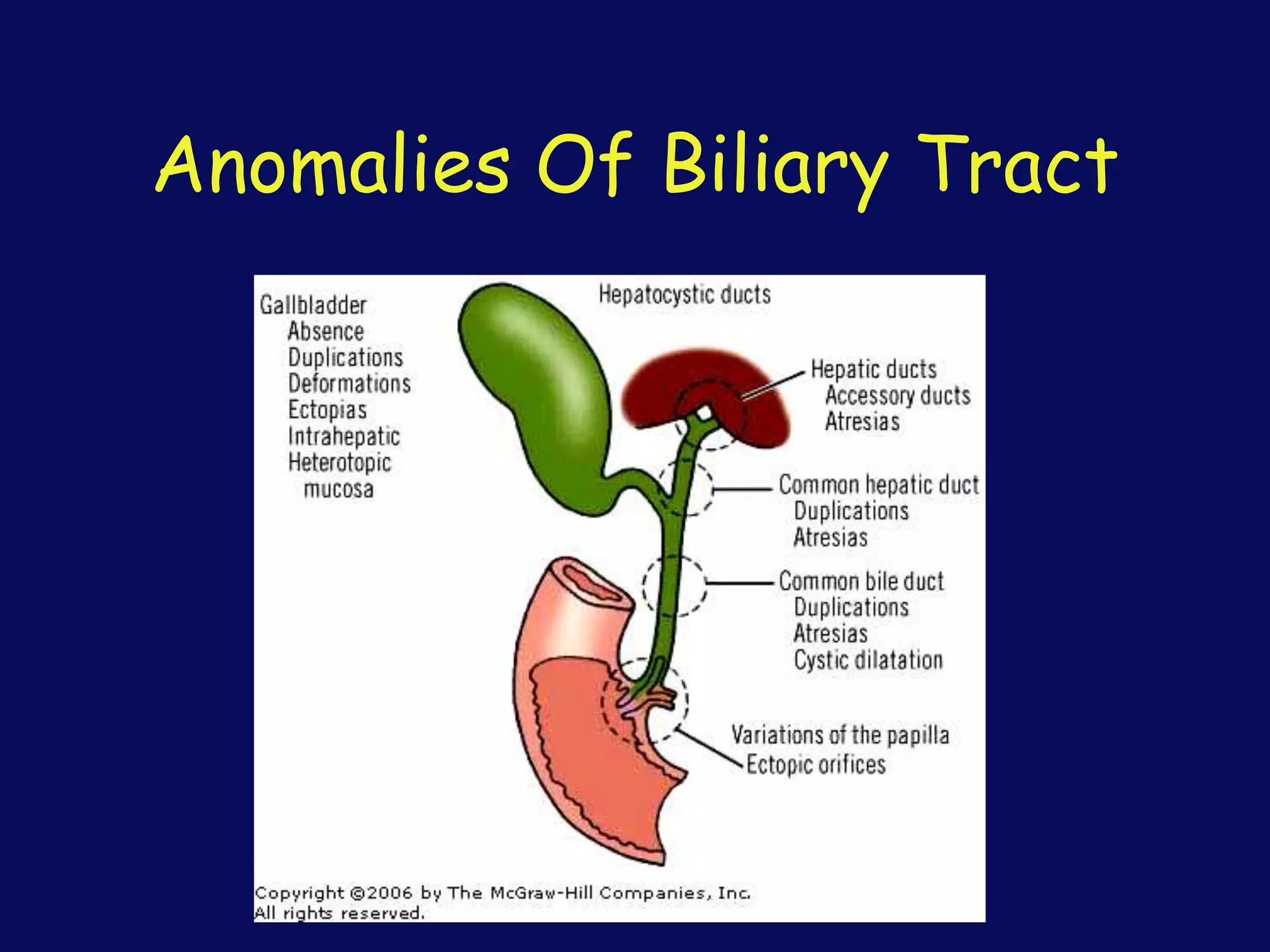 Liver& biliary | PPT