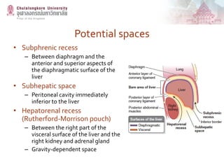 Anatomy of liver, biliary tract and portal system | PDF