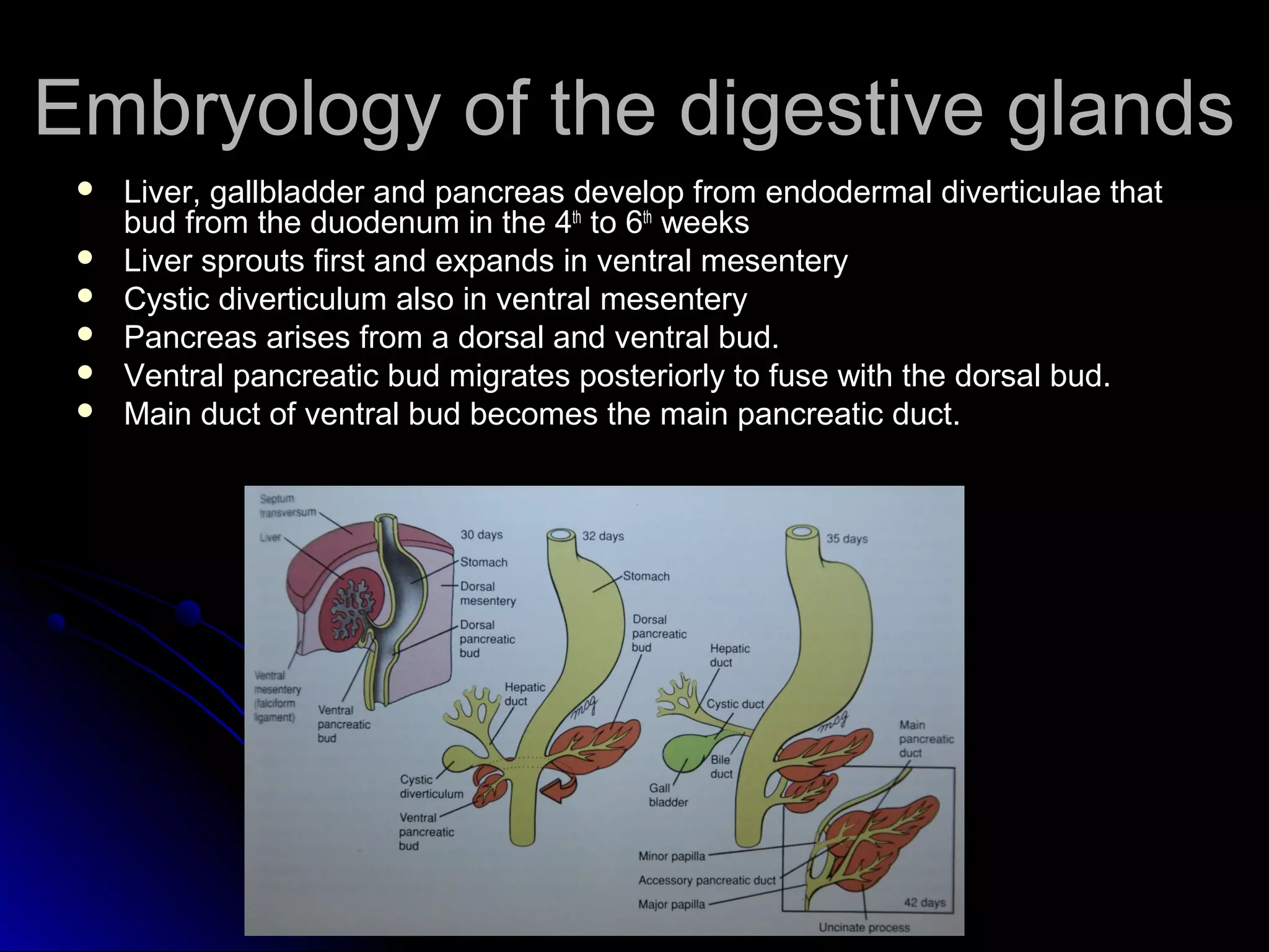 Liver, biliary system, pancreas and spleen | PPT