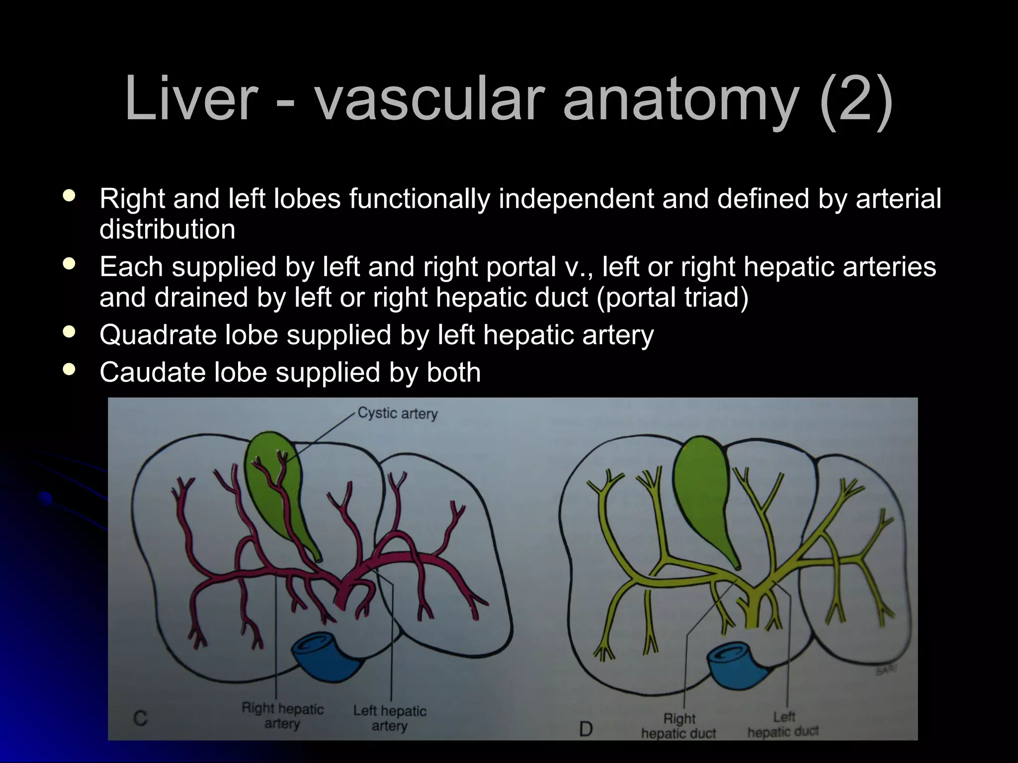 Liver, biliary system, pancreas and spleen | PPT