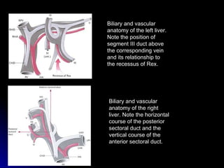 Liver, biliary system, pancreas and spleen | PPT