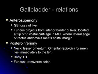 Liver, biliary system, pancreas and spleen | PPT