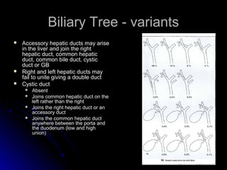 Liver, biliary system, pancreas and spleen | PPT