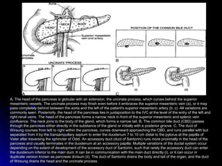 Liver, biliary system, pancreas and spleen | PPT