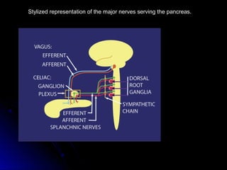 Liver, biliary system, pancreas and spleen | PPT