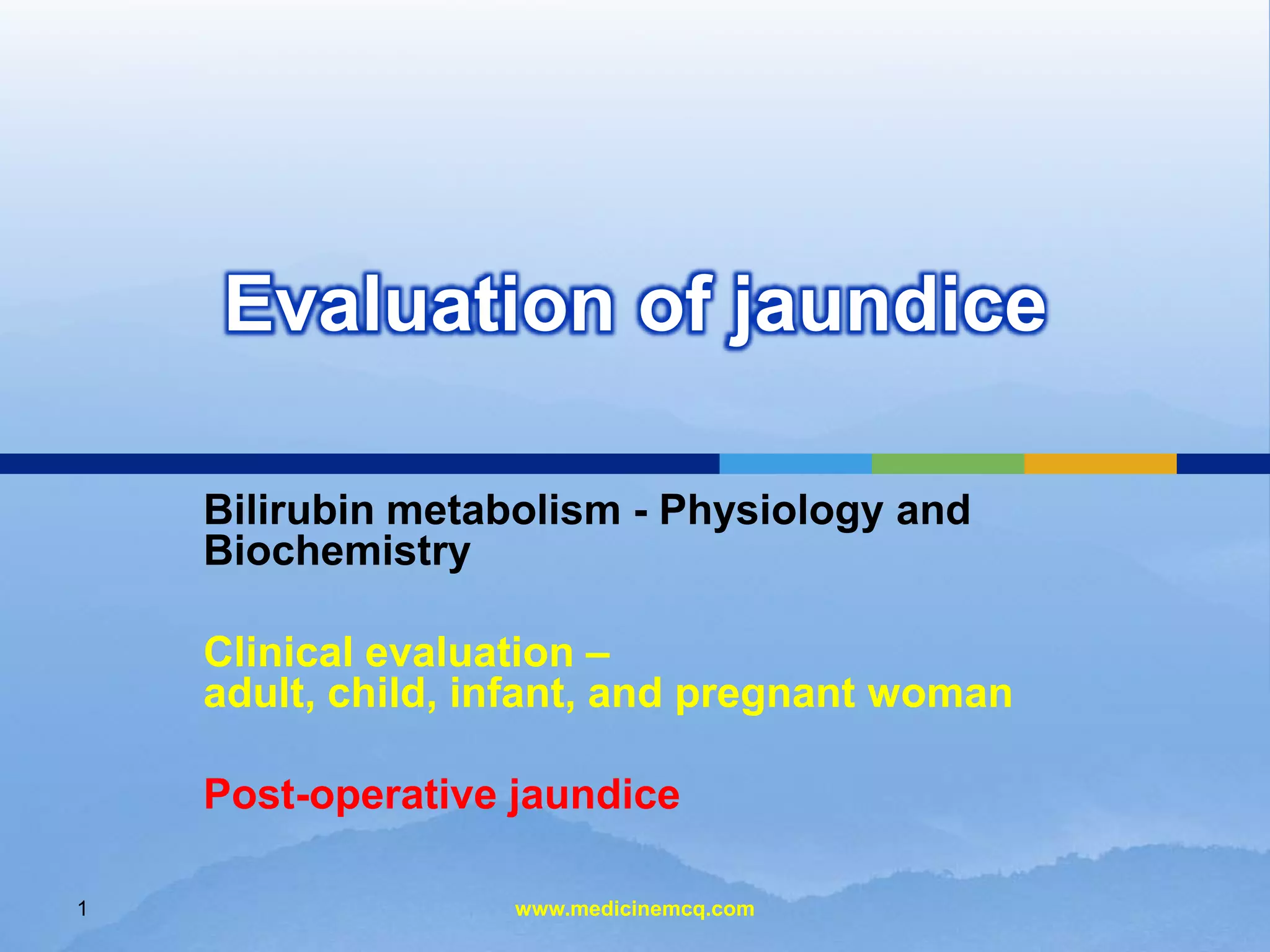Liver Bilirubin Metabolism Jaundice | PPTX