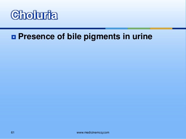 Liver Bilirubin Metabolism Jaundice