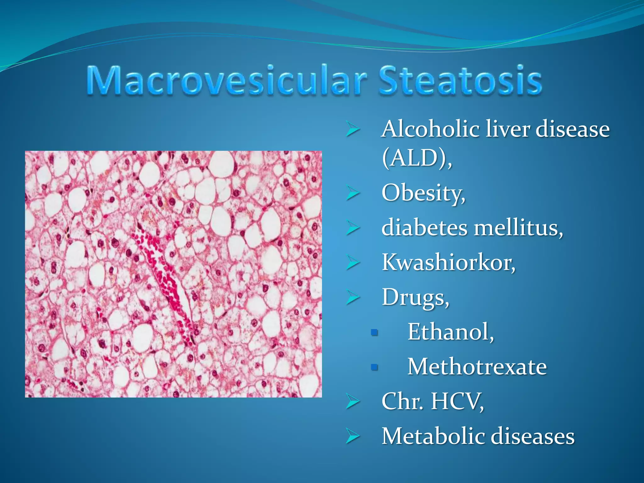 Liver biopsy interpretation | PPTX