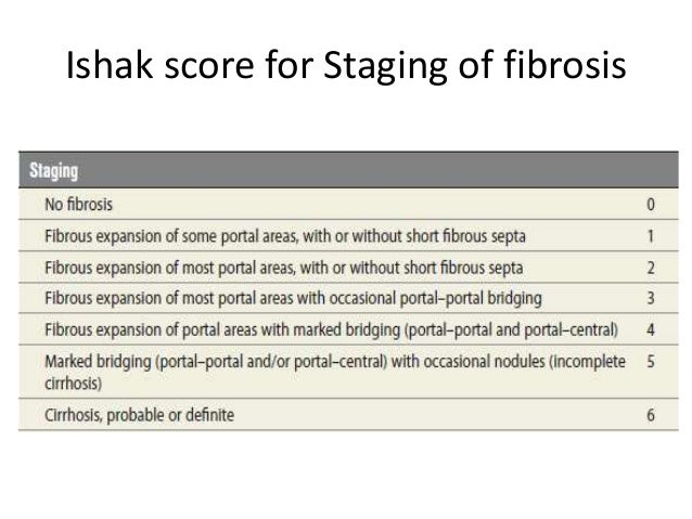 Liver biopsy interpretation