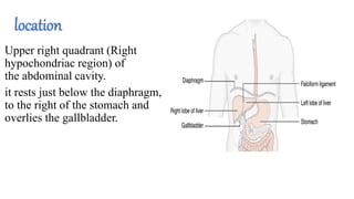 Liver cirrhosis | PPTX
