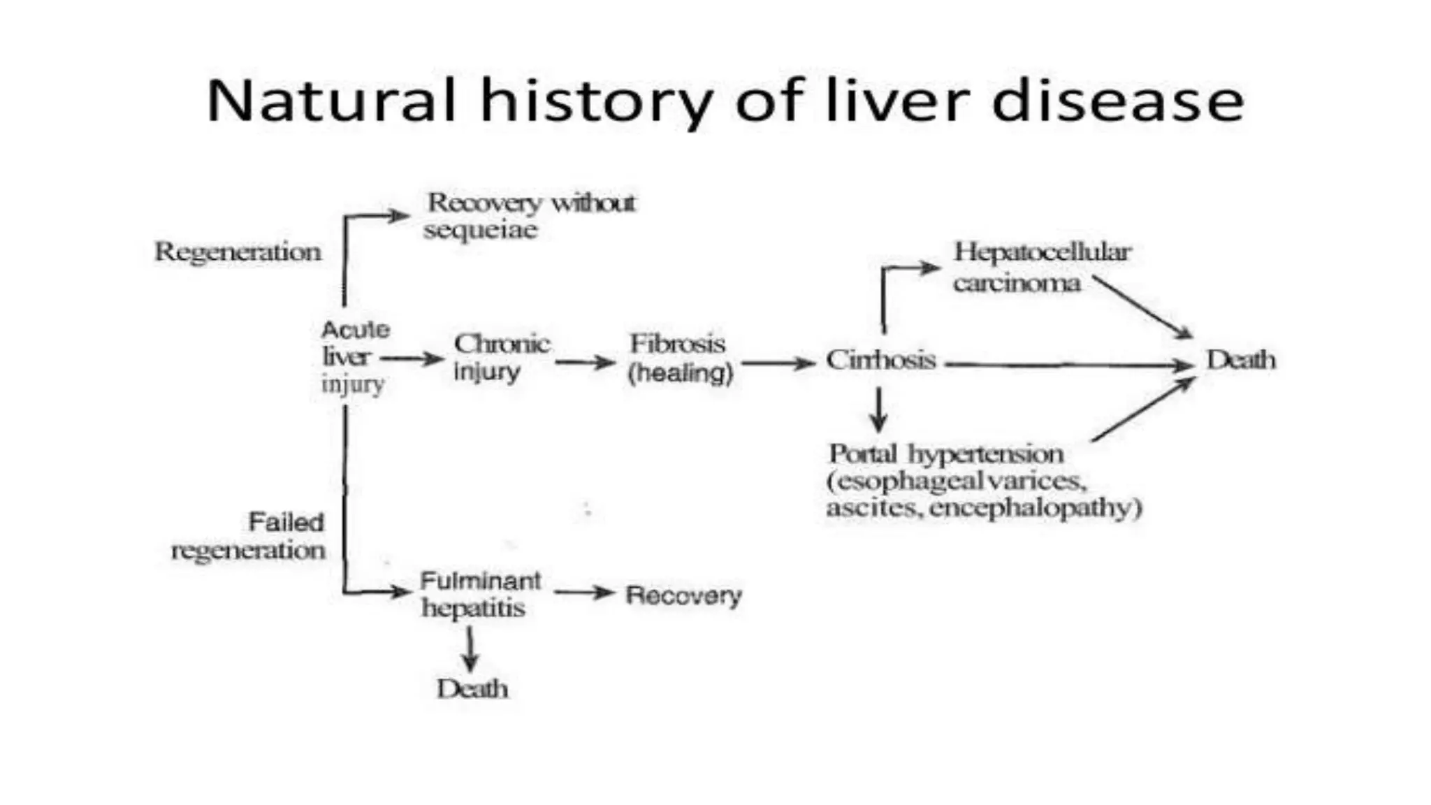 Pathophysiology of liver cirrhosis and alcholoic liver disease | PPTX