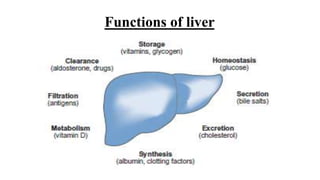 Pathophysiology of liver cirrhosis and alcholoic liver disease | PPTX