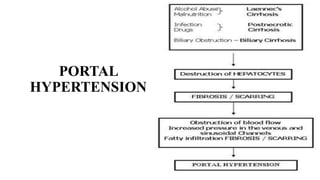 Pathophysiology of liver cirrhosis and alcholoic liver disease | PPTX