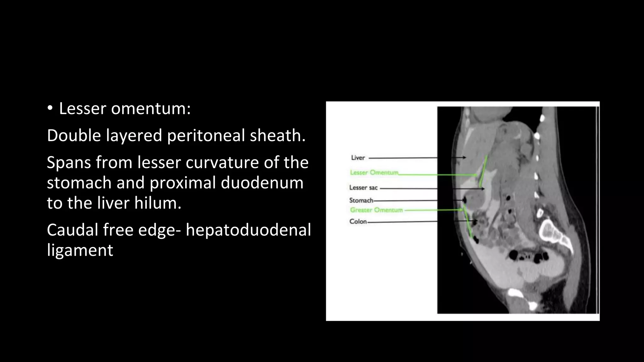 Liver ct anatomy(1).pptx
