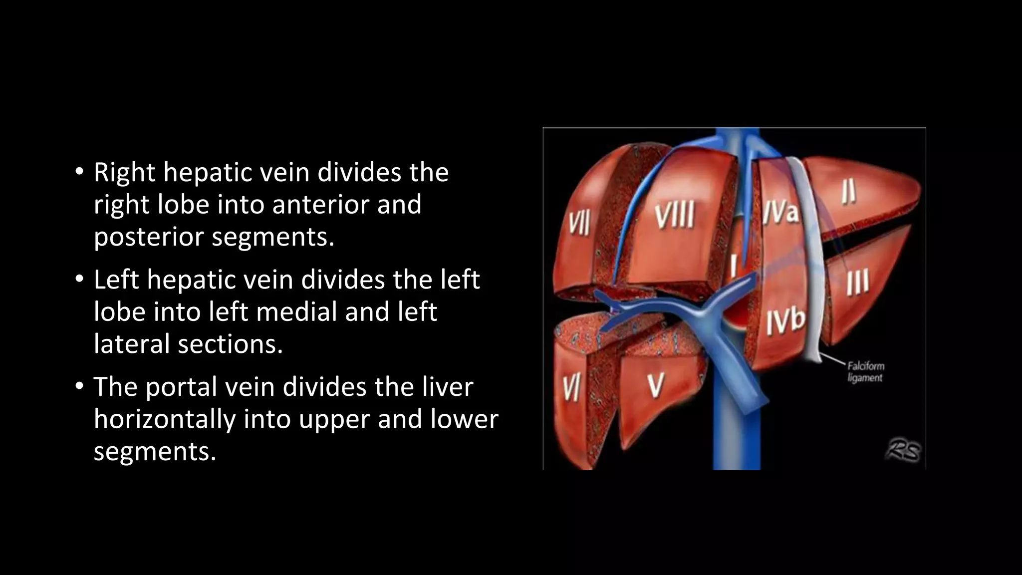 Liver ct anatomy 2.pptx