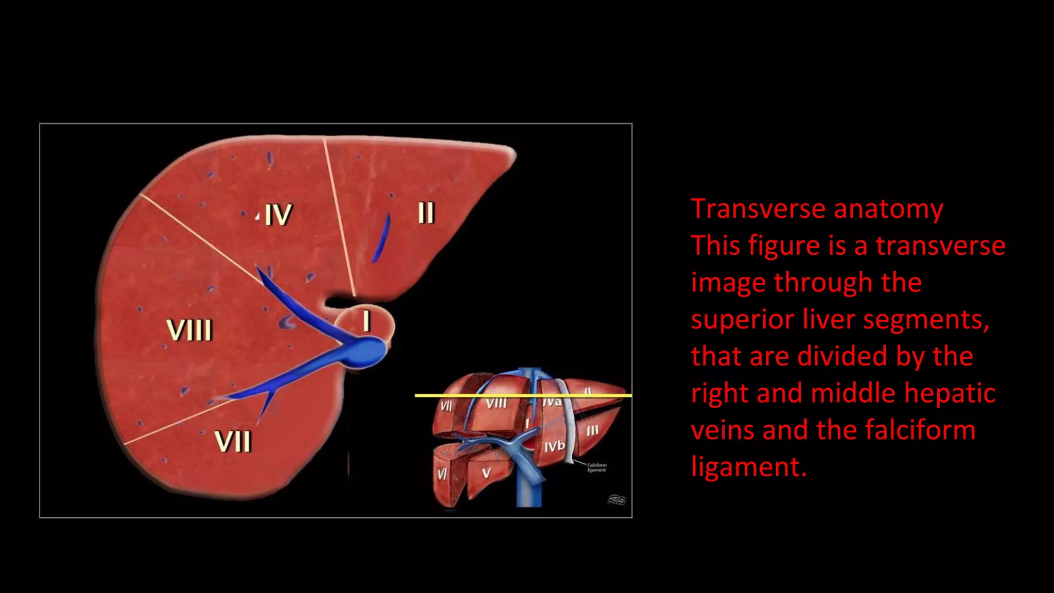 Liver ct anatomy 2.pptx