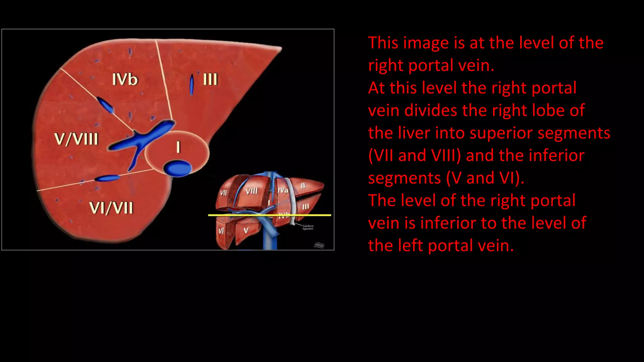 Liver ct anatomy 2.pptx