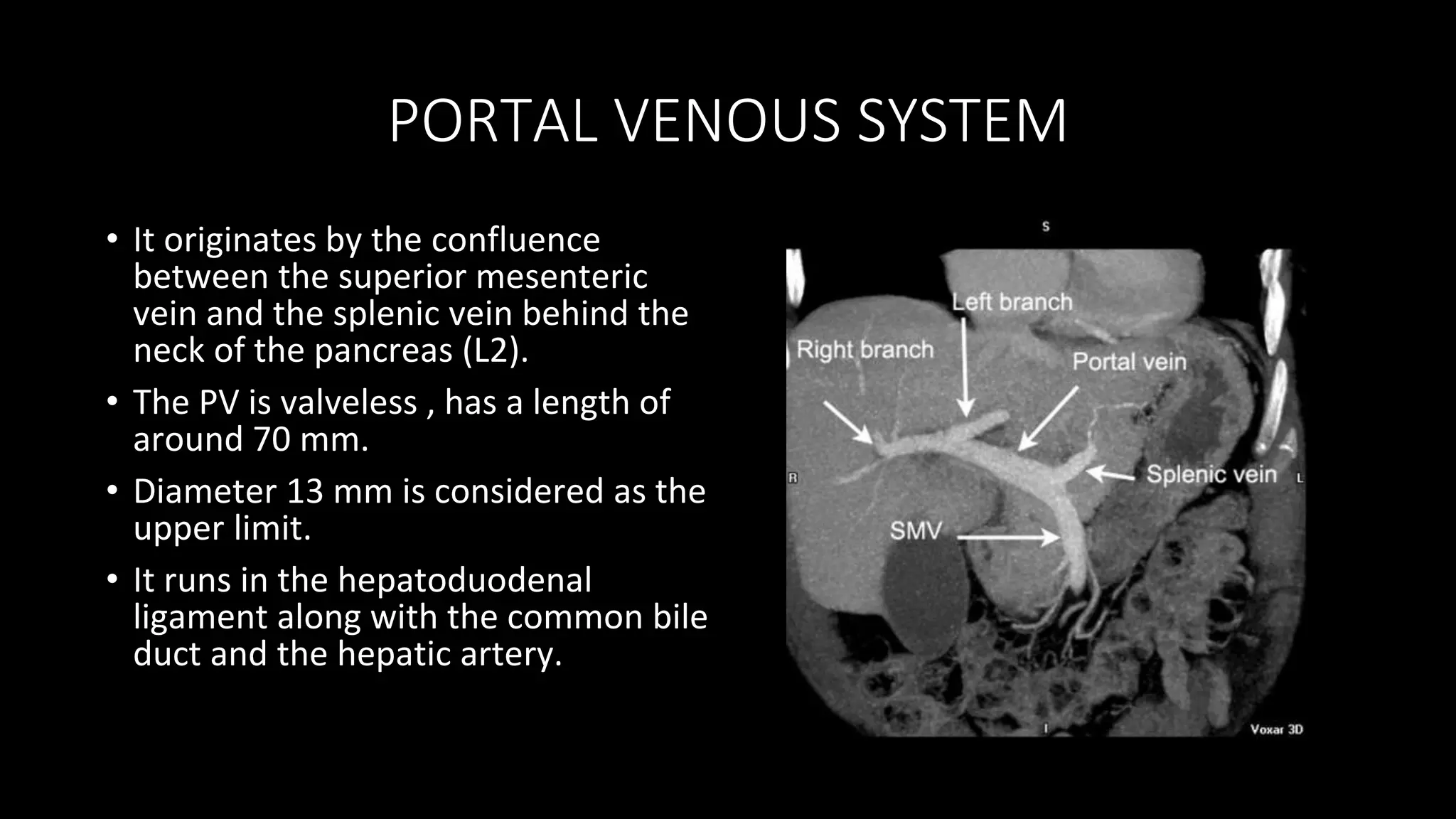 Liver ct anatomy 2.pptx