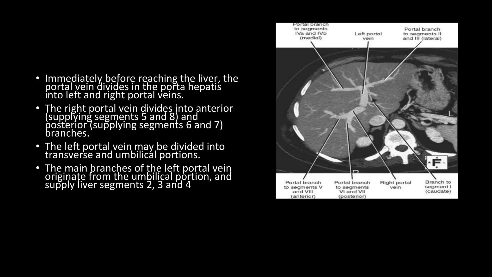 Liver ct anatomy 2.pptx