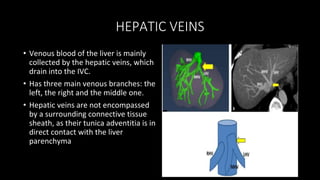 Liver ct anatomy 2.pptx