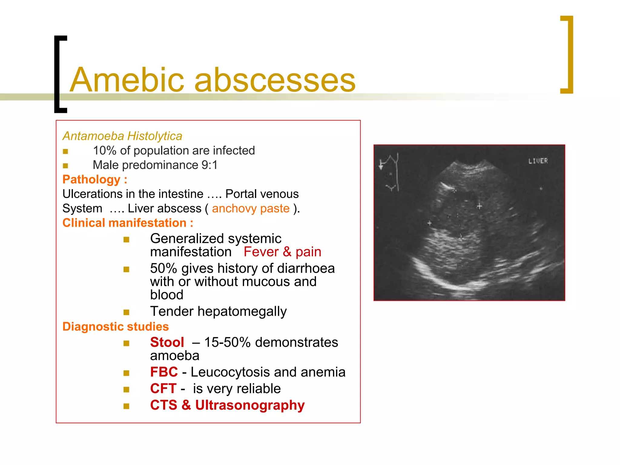 Liver cysts , Abscesses and Tumors | PPT