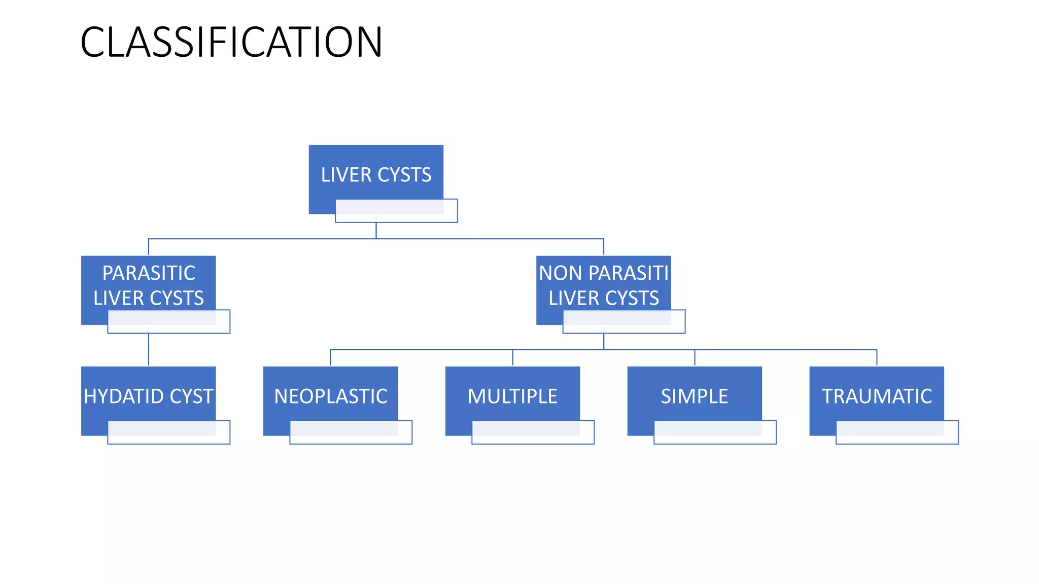 Liver Cysts and Abscesses | PPTX