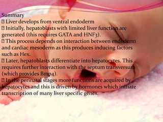 Liver development | PPTX