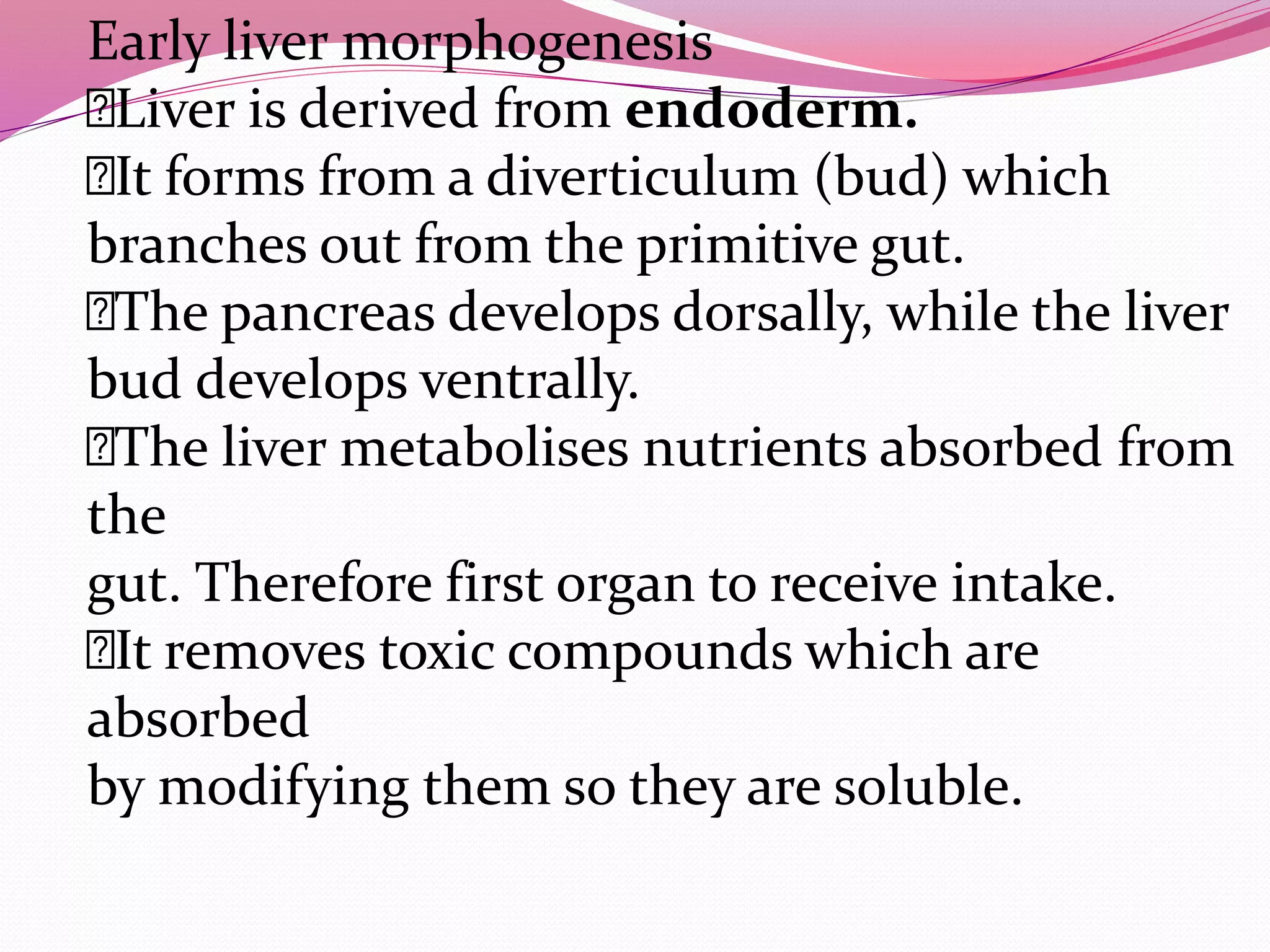 Liver development (hepatogenesis) | PPTX