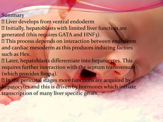 Liver development (hepatogenesis) | PPTX