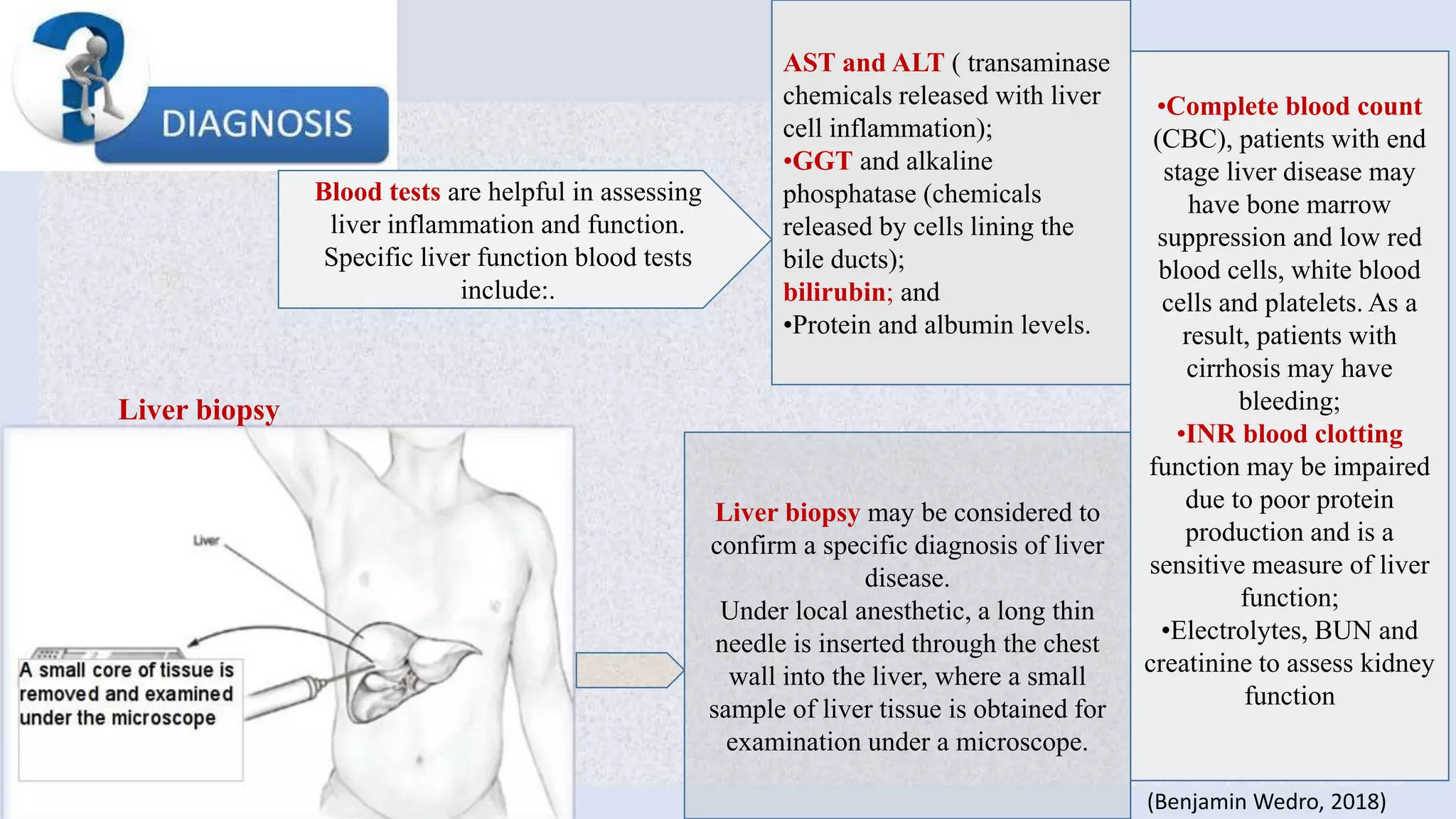 Liver disease (Case study,definition,indication,treatment,recovery ) | PPT
