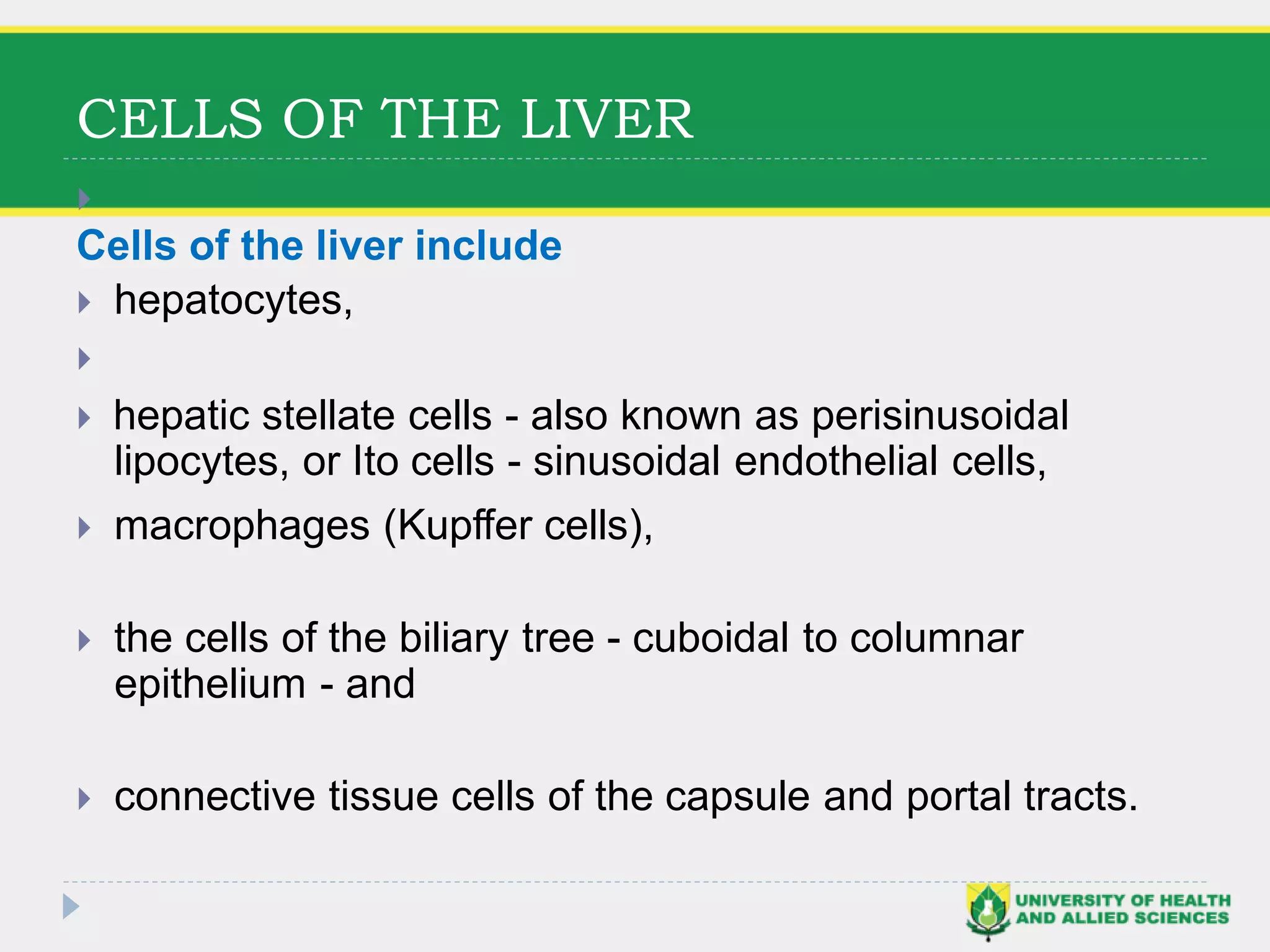 LIVER DISEASE PPT.pptx