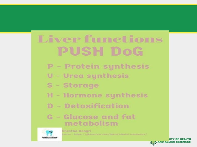 LIVER DISEASE PPT.pptx