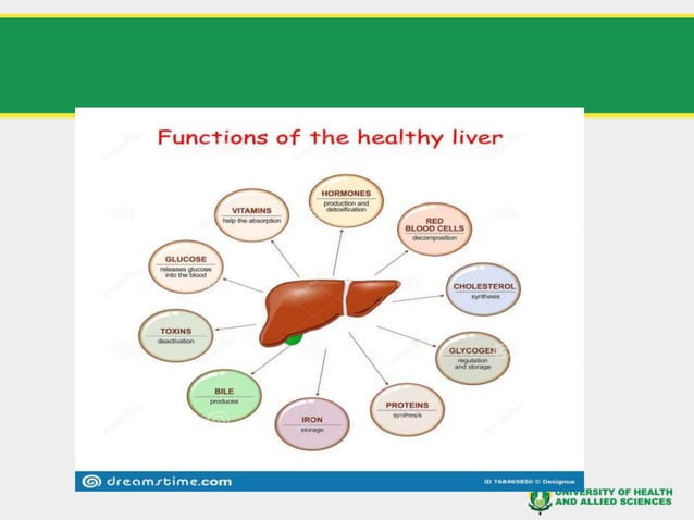 LIVER DISEASE PPT.pptx